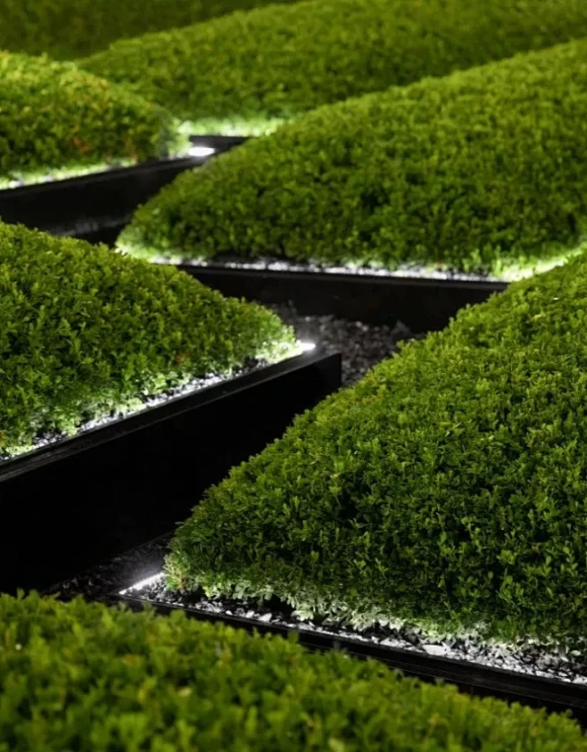 640.webp (21).jpg-花瓣网