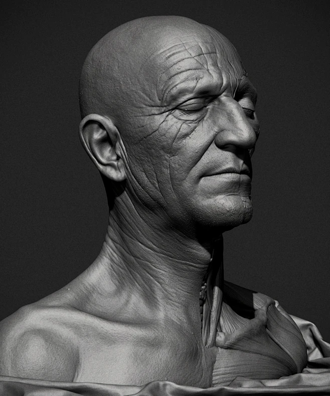 Some Anatomy Studies-花瓣网