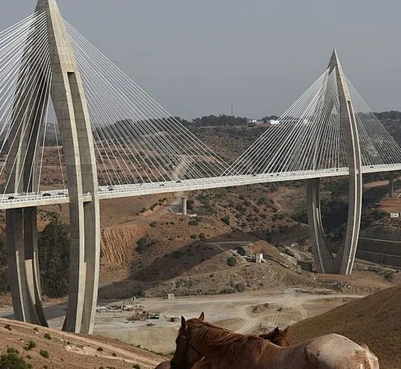 Longest cable-stayed bridge in Africa named the 'Mohammed VI Bridge'-花瓣网