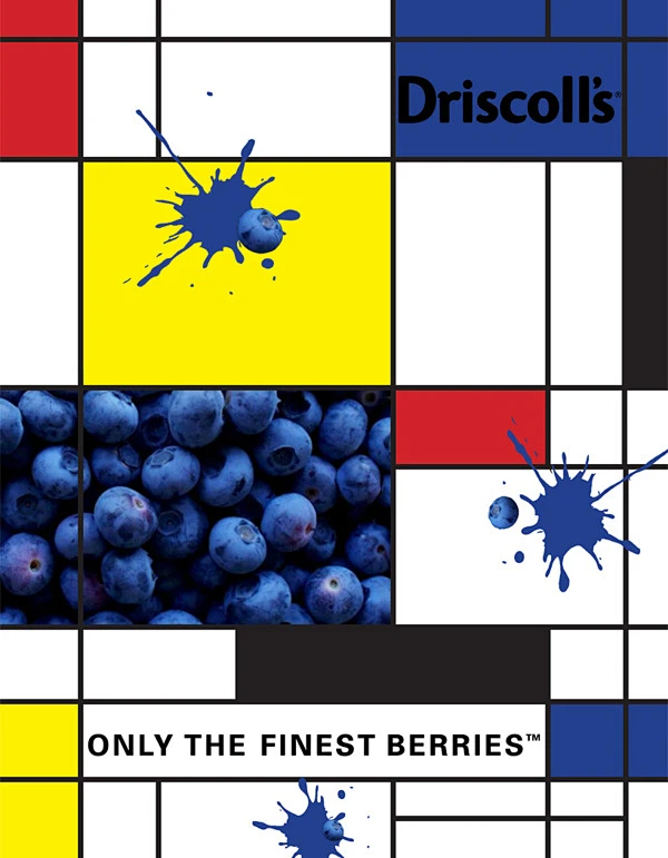 上Behance蒙德里安广告-花瓣网