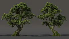 植物原画树原画来自cgbook.cn (1264)-花瓣网