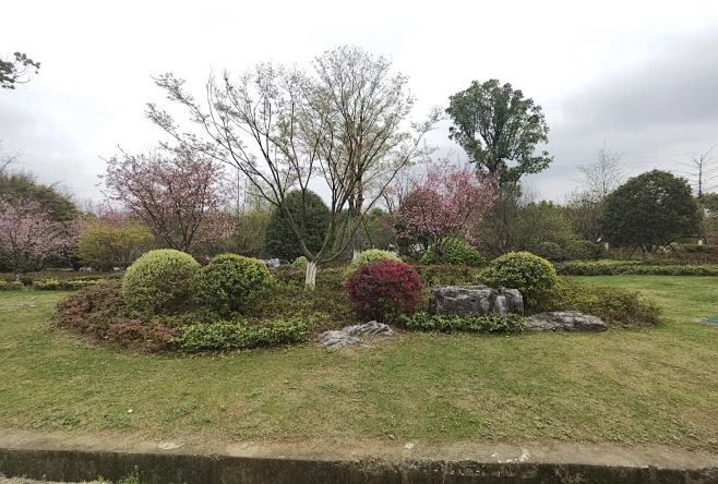 IMG_20230323_124110-花瓣网