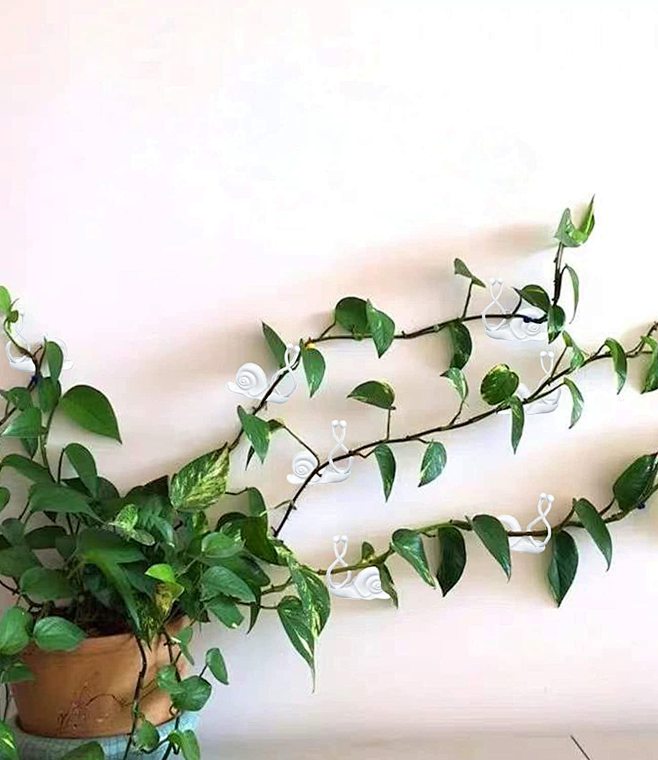 Amazon.com : 50PCS Plant Climbing Wall Fixture Clips Vine Climbing Wall ...