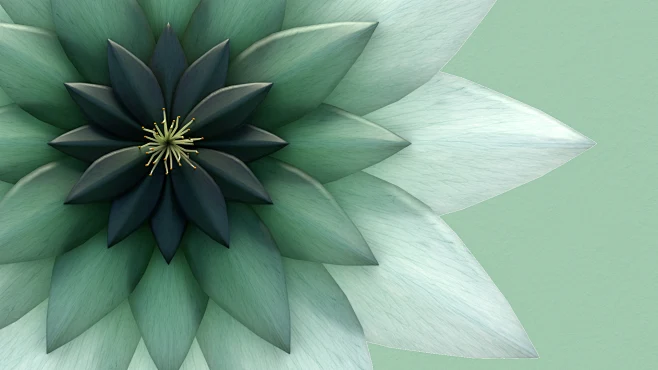 design floral Flowers Nature pattern seamless textile design wallpaper ...