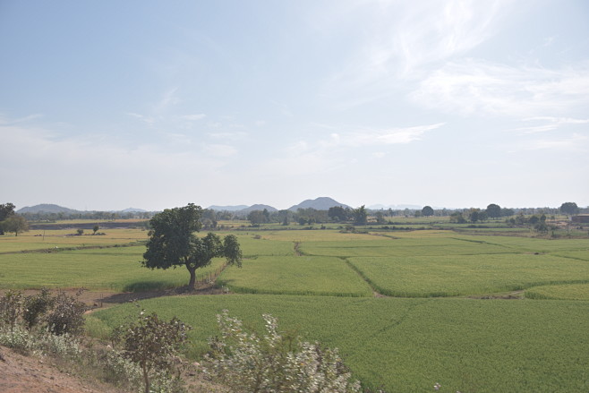India_Countryside_102