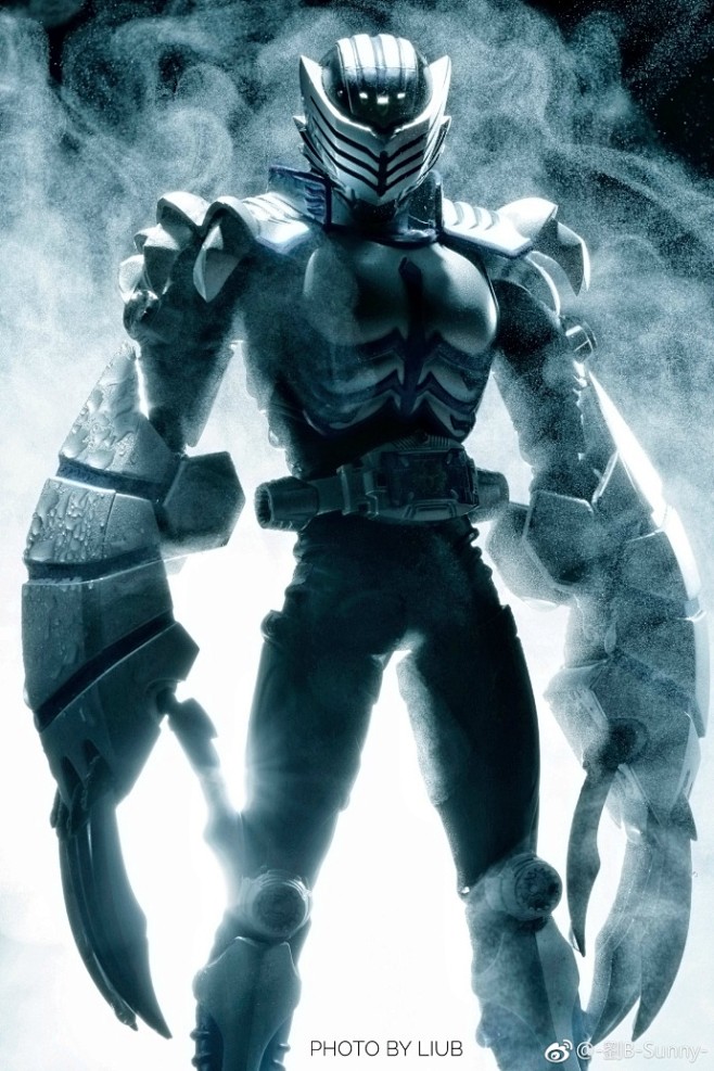 假面骑士白虎 TIGER & DESTWILDER