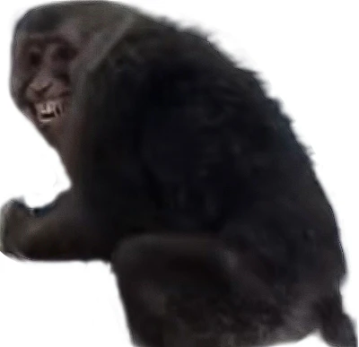 猴子表情包-花瓣网