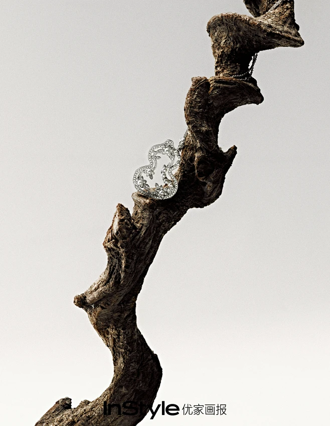 @Qeelin麒麟 的个人主页 - 微博-花瓣网