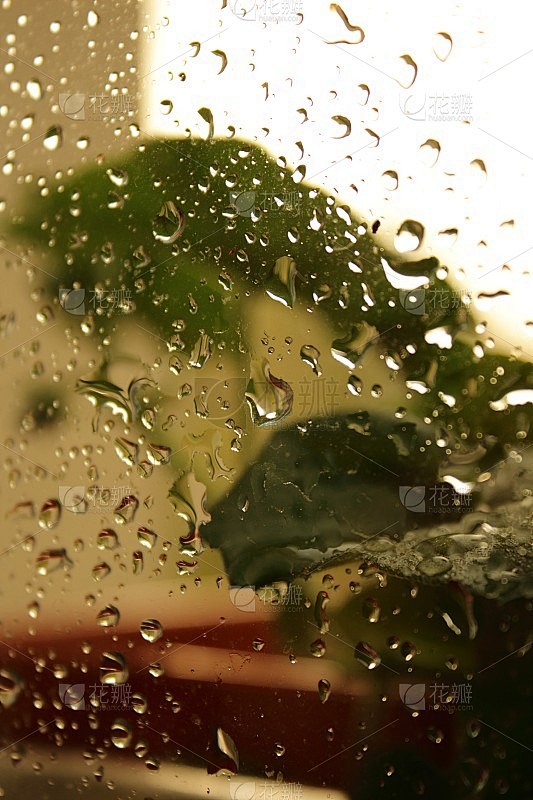 雨滴落在玻璃上，绿色植物作为背景