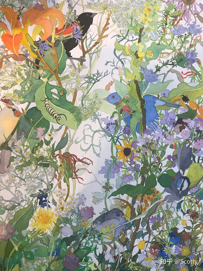 Joan Becker，美国水彩画家