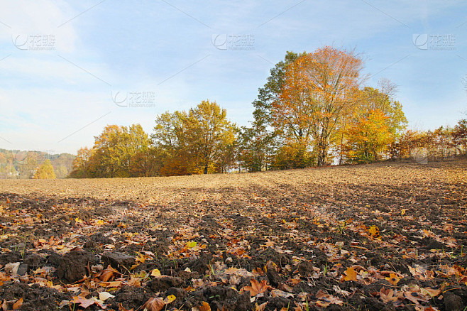 秋天的田园风光和天空
