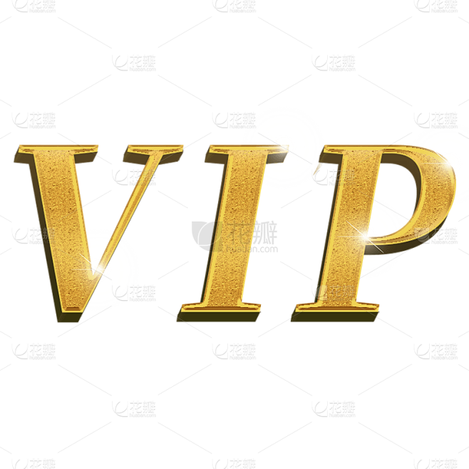 3D-立体简约VIP英文文字1