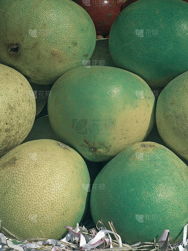 柑橘，grandis, shaddock, pomelo