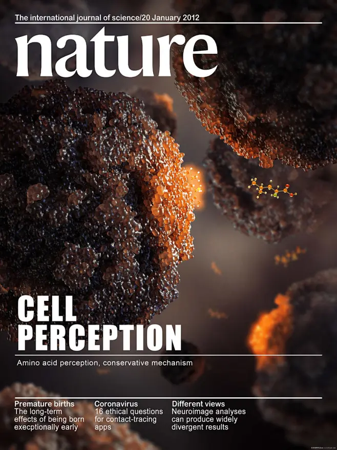 成都西西智研文化传媒有限公司-专业科研绘图团队 科研绘图/杂志封面设计/sci论文配图设计/医学插画-花瓣网