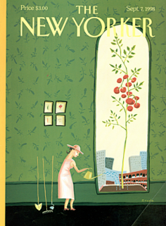 NEW YORKER-花瓣网|陪你做生活的设计师 | wn Covers