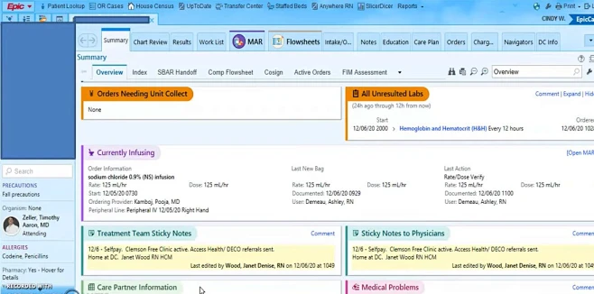 Epic-EMR-Software-Patient-Summary-Overview-花瓣网