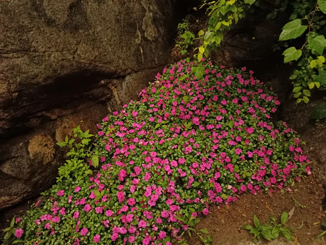 花瓣灵感详情页-花瓣网