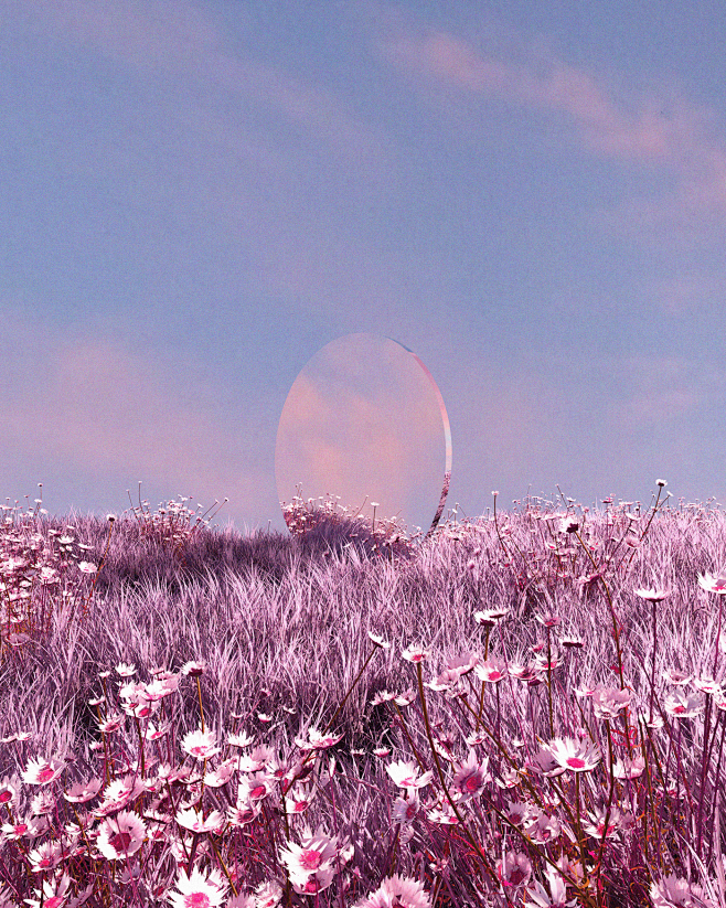 搜索 projects %7C Behance 上的照片、视频、