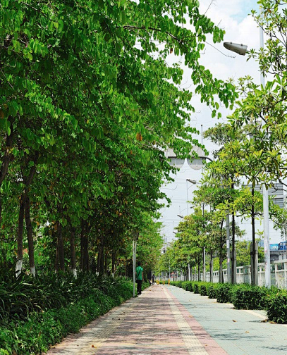 道路景观-绿化带