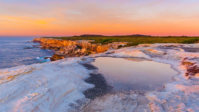 Cape Solander-花瓣网