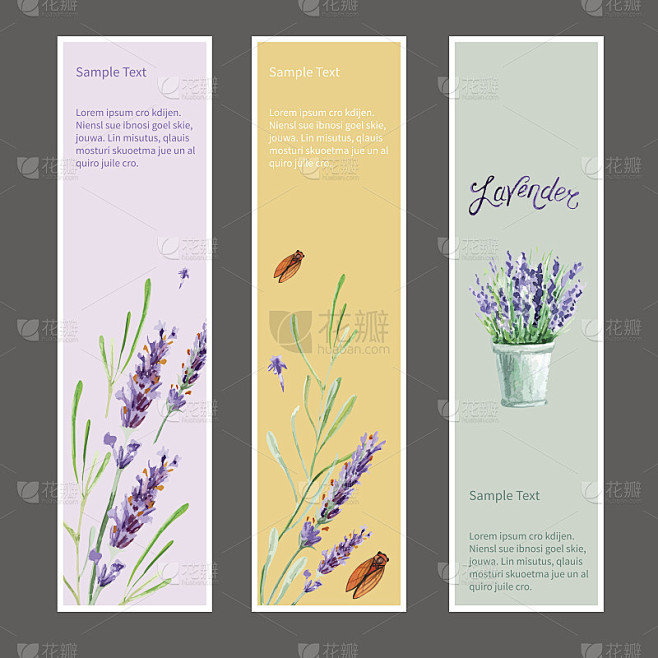 矢量水彩levender横幅。