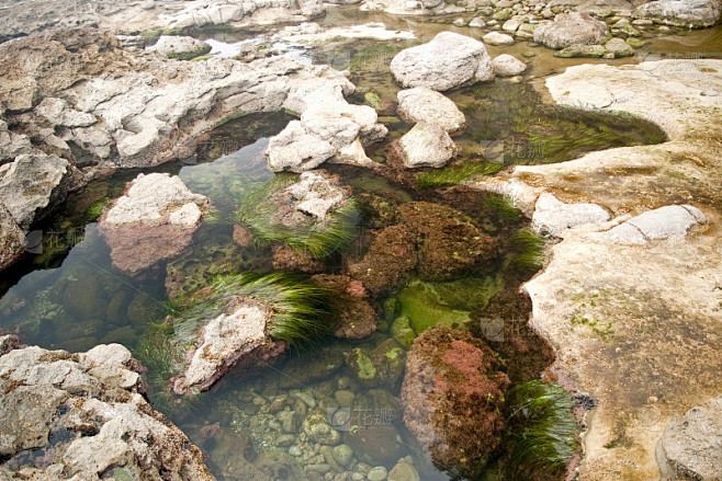 Tidepools