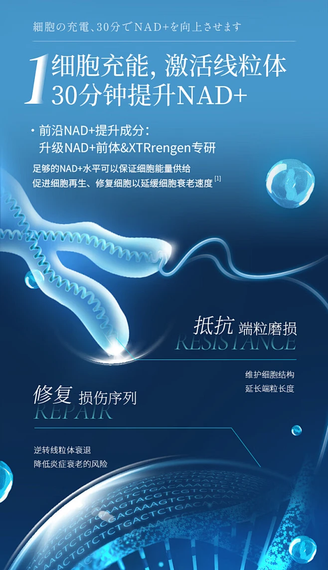 LIFESUGI柏生泰4代 百生态酶 日本进口细胞线粒体激活NAD+提升 XTRegen 升级NAD 1盒【每天1-2粒】60粒【图片 价格 ...