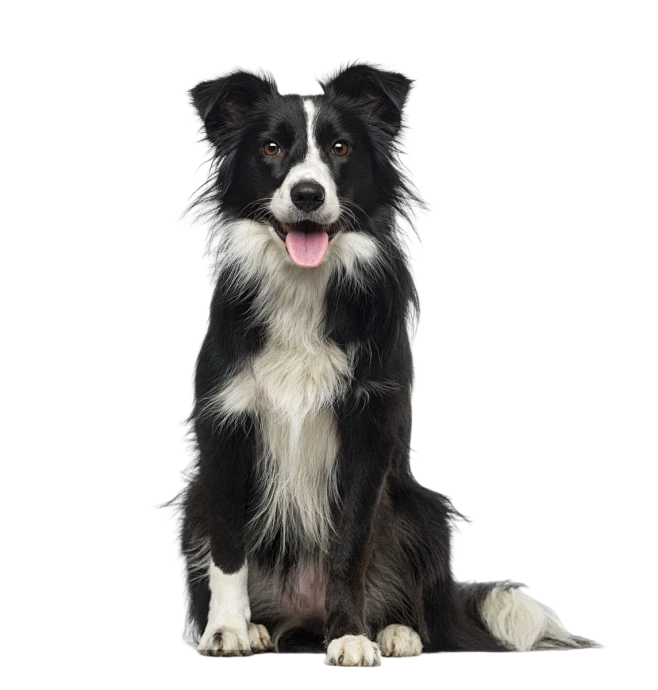 E6 9c Aa E5 91 Bd E5 90 8d 20 7 花瓣网