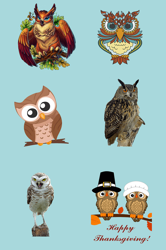 猫头鹰动漫卡通素材