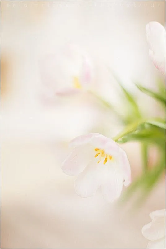 其中包括图片：a subtle hint-花瓣网