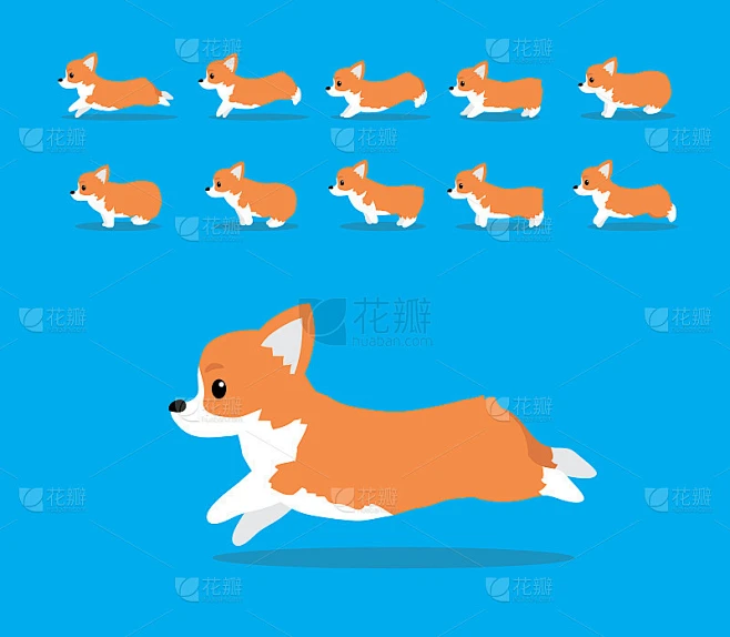 Animal Animation Sequence Dog Pembroke Welsh Corgi素材-花瓣网