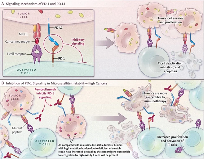 DMcXGEjXcAA4CBt-花瓣网