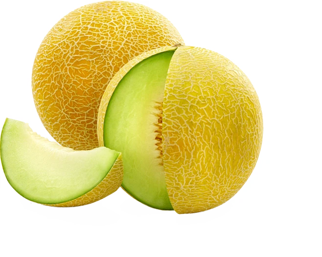 Melon PNG-花瓣网