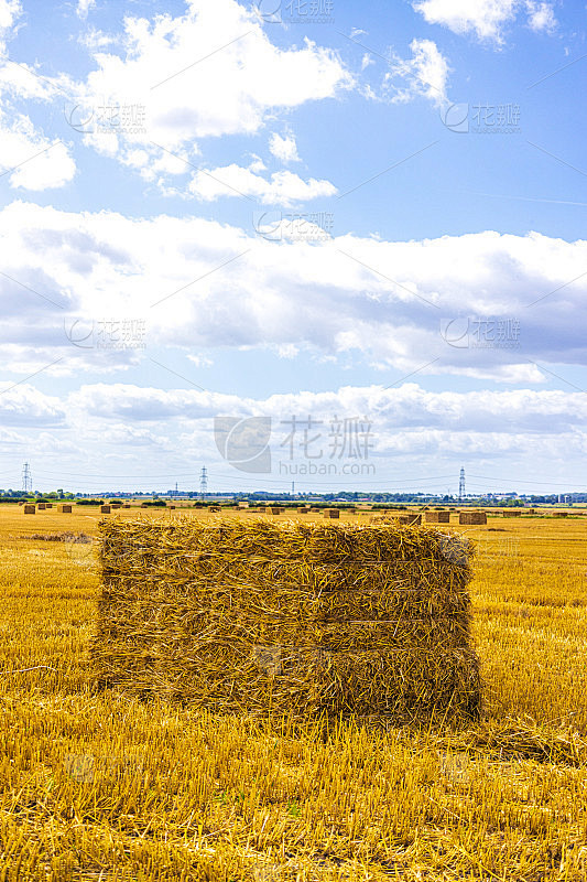 麦田干草保鲜膜