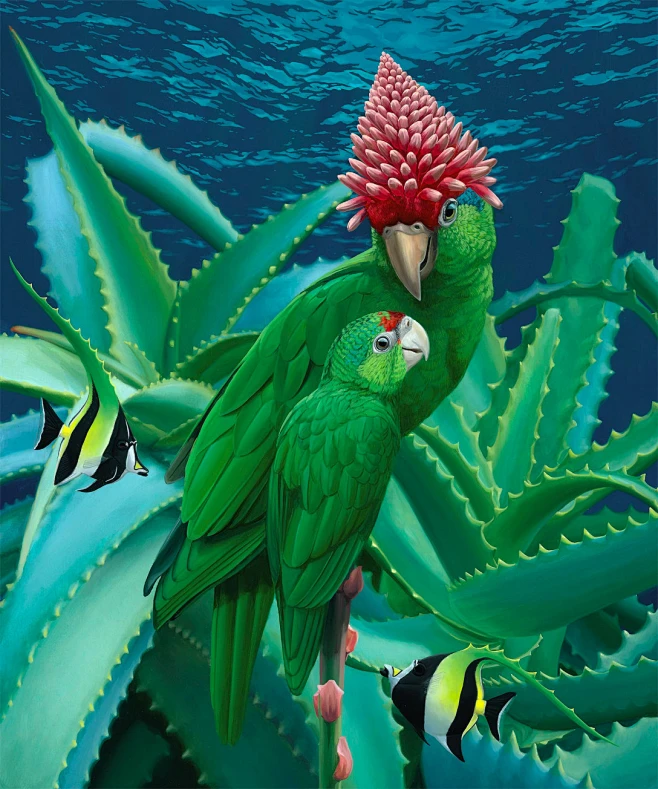 动植物：Joy Ching的画作-古田路9号-品牌创意/版权保护平台图片_画图片素材-花瓣网