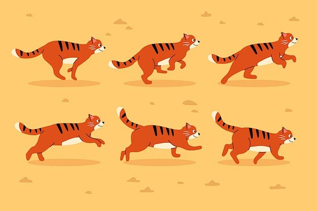 手绘猫动画序列帧插画-花瓣网