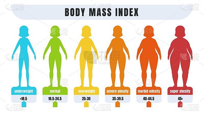 女人身体质量指数。肥胖和正常体重人群的身体质量指数信息图。肥胖或体重过轻诊断图表。女性剪影从瘦到胖，