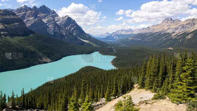班夫国家公园,阿尔伯塔省,加拿大,阿塔巴斯卡瀑布,杰士伯公路,阿尔卑斯湖荒野地,平投湖,弓湖,梦莲湖,弓河