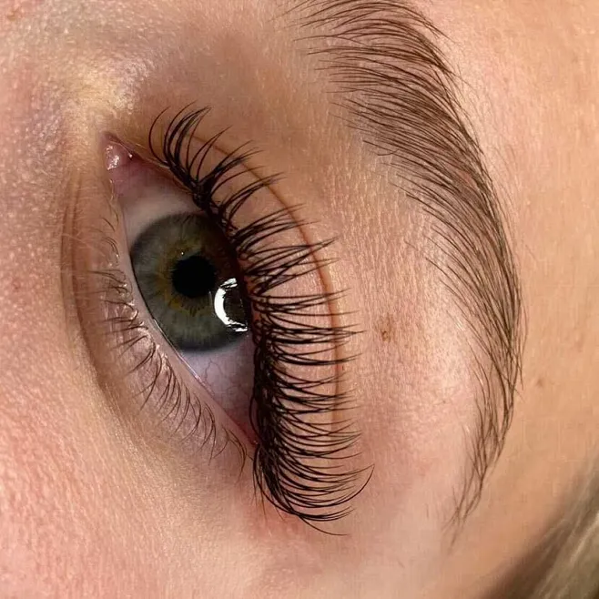 包含：Shop My Look - Ellie Newman（经典款）- LashBase Limited-花瓣网