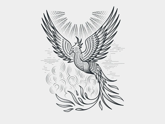 Phoenix bird engraving etching greek mythology illustration line art ...