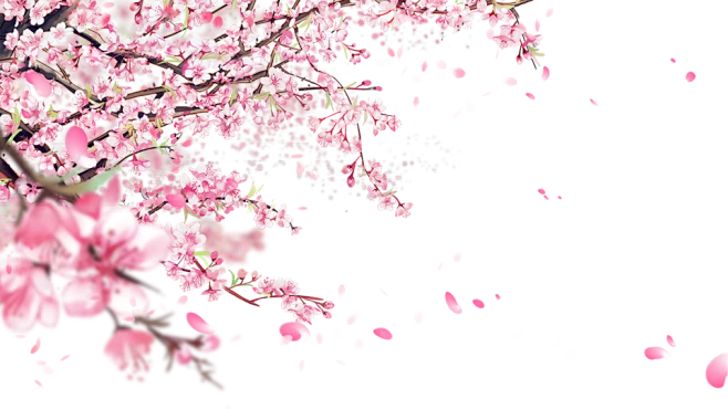 点击查看源网页-花瓣网