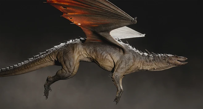 Dragon-花瓣网