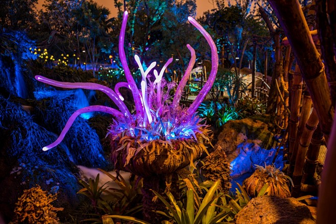 Pandora_-_The_World_of_Avatar_at_night_at_Disney's_Animal_Kingdom_(7)