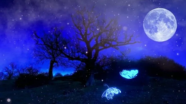 点击查看源网页-花瓣网