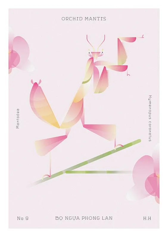 (11) Pinterest-花瓣网