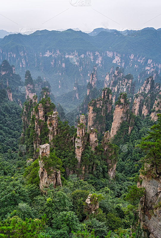 纵览天子山的石柱