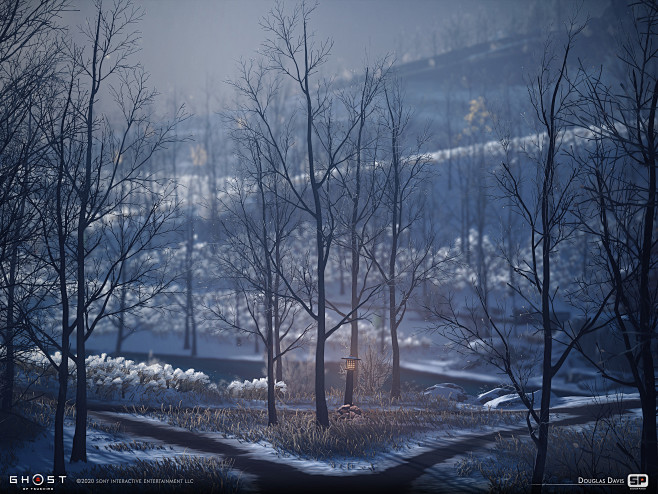 douglas-davis-douglasd-dormanttrees-03b