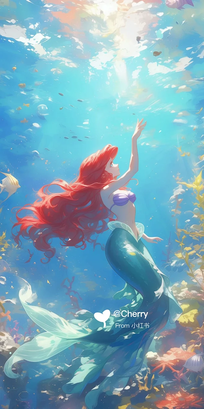 海的女儿 - 小红书搜索-花瓣网