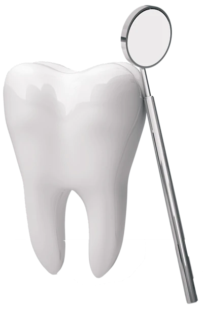 【米图网-52mitu.com】牙齿 3D 牙科 口腔 立体 质感3D拟人牙齿-花瓣网
