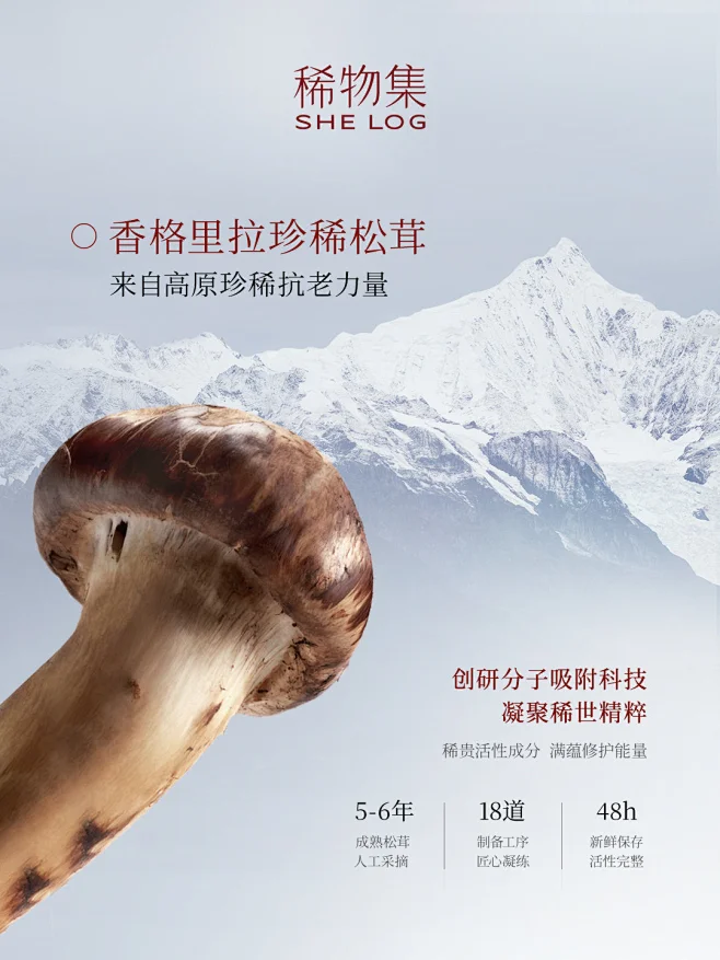 @稀物集SHELOG 的个人主页 - 微博-花瓣网